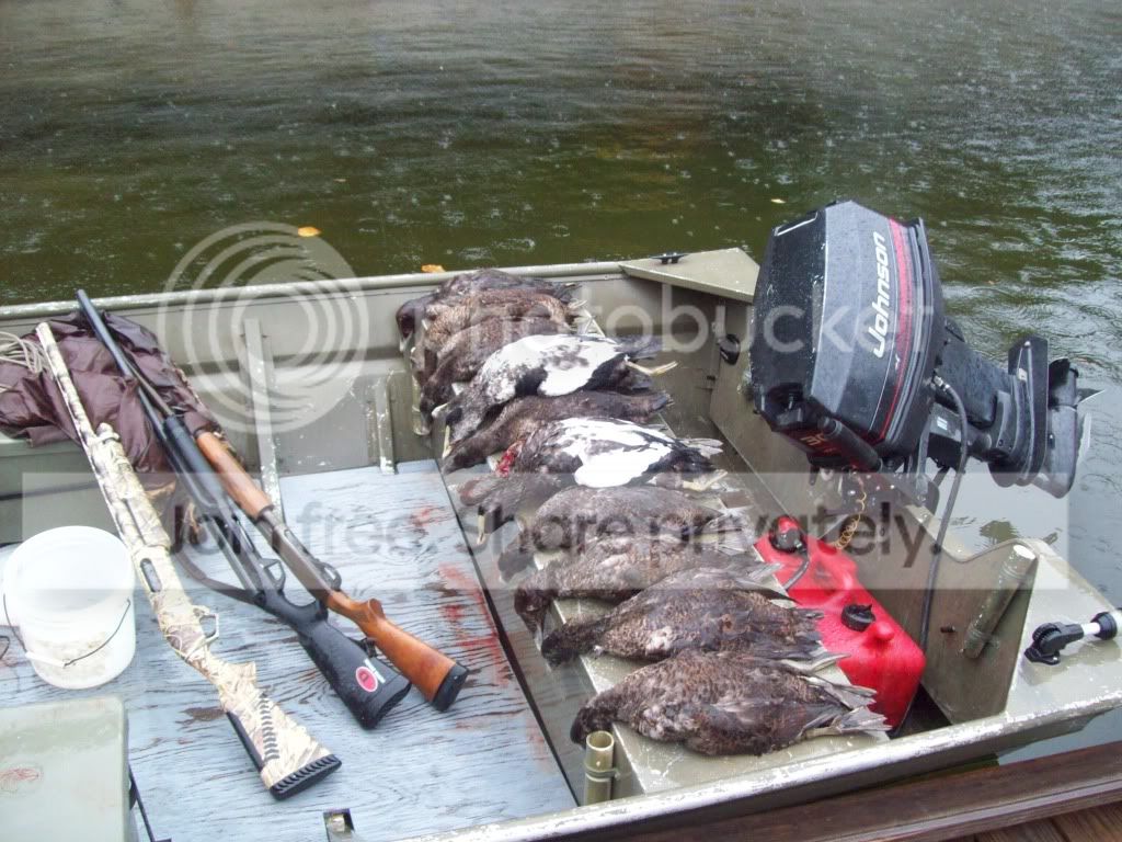 Some pictures from this season so far | Duck Hunting Forum